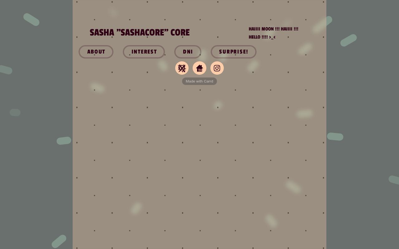 sasha "sashacore" core